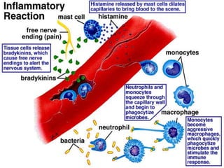 Inflammation | PPTX
