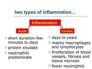 Inflammation | PPTX