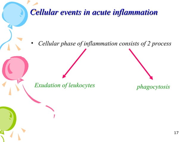 Inflammation | PPT