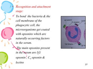 Inflammation | PPT