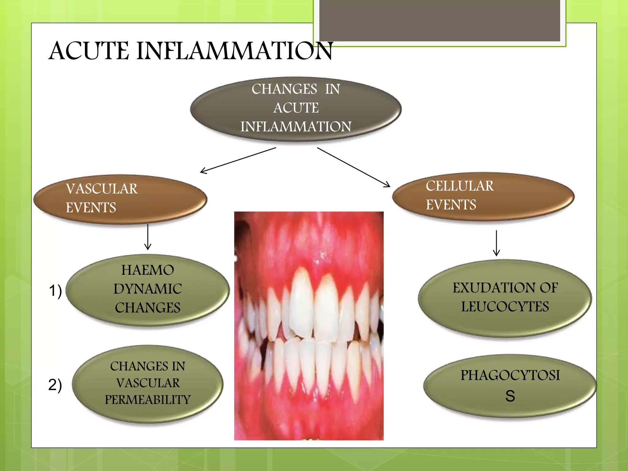 Inflammation and wound healing | PPTX