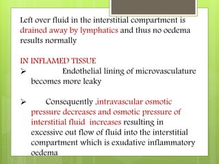 Inflammation and wound healing | PPTX