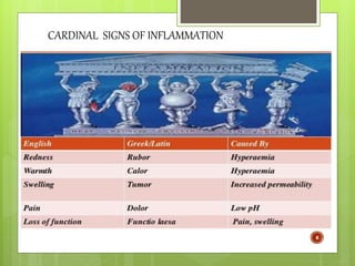 Inflammation and wound healing | PPTX