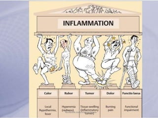 Inflammation - pathophysiology (PHARM D) | PPTX