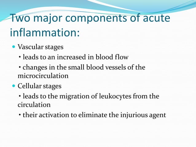 Inflammation | PPTX | Blood Disorders | Diseases and Conditions