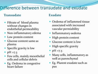 Inflammation | PPTX