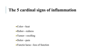 Inflammation | PPTX