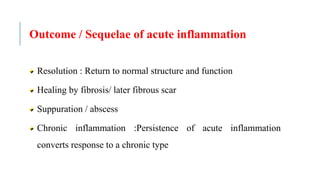 Inflammation | PPTX