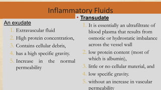 Inflammation (Acute and Chronic) Prof Mulazim Hussain Bukhari | PPTX