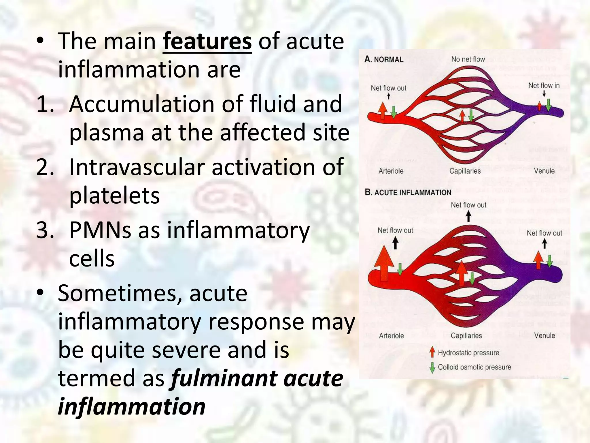 Inflammation- General Pathology seminar PG 1st year | PPTX