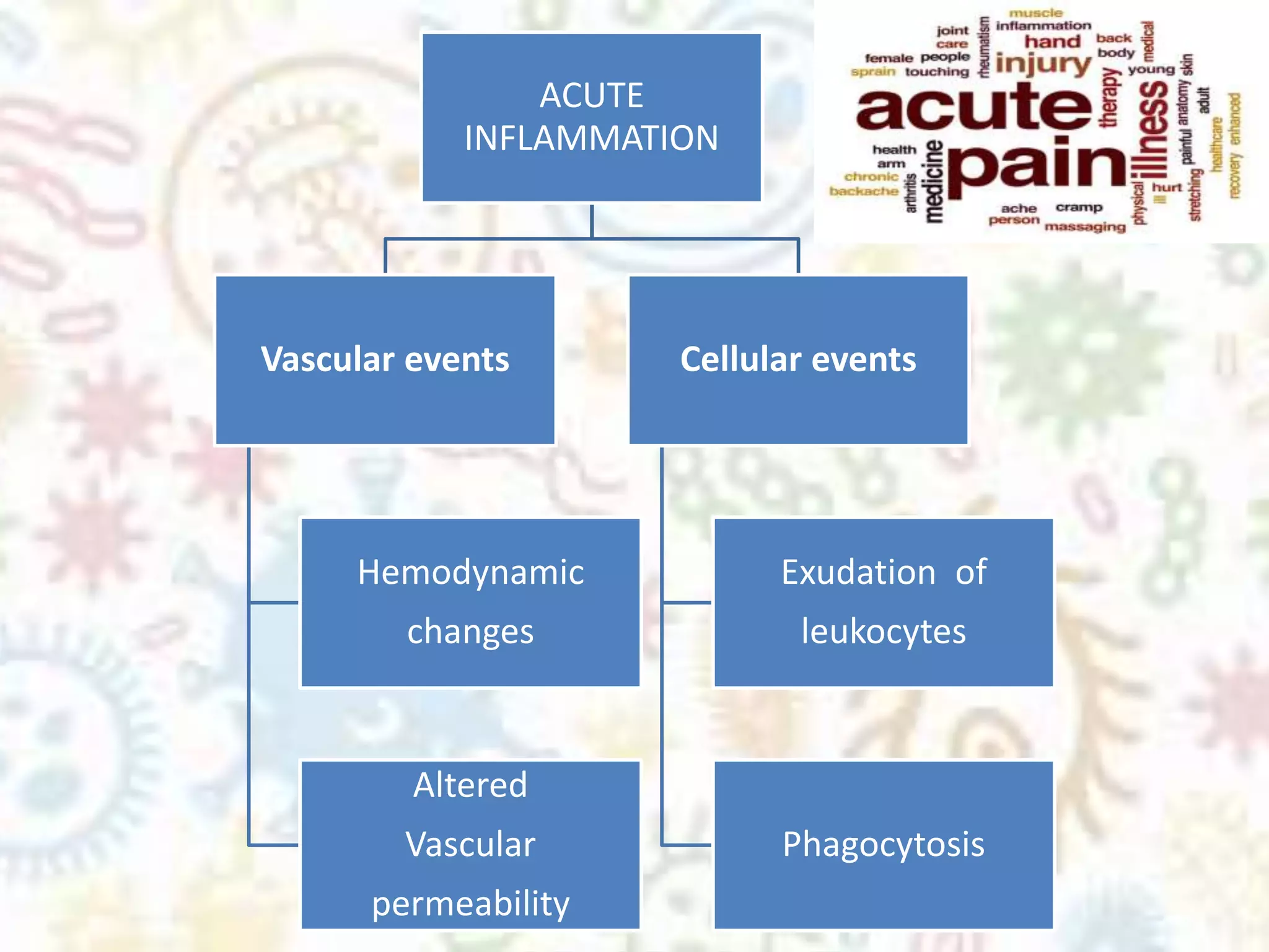 Inflammation- General Pathology seminar PG 1st year | PPTX
