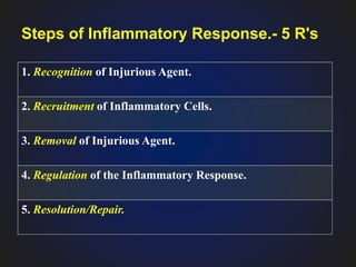 Inflammatory Response Steps