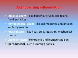 Inflammation- Basic Concept | PPTX