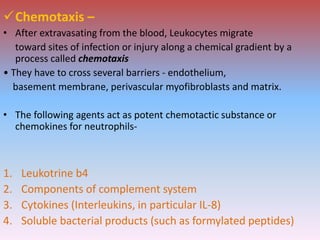 Inflammation- Basic Concept | PPTX