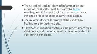 Inflammation | PPT