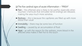 Inflammation | PPT