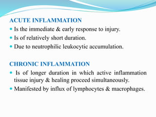 Inflammation | PPTX