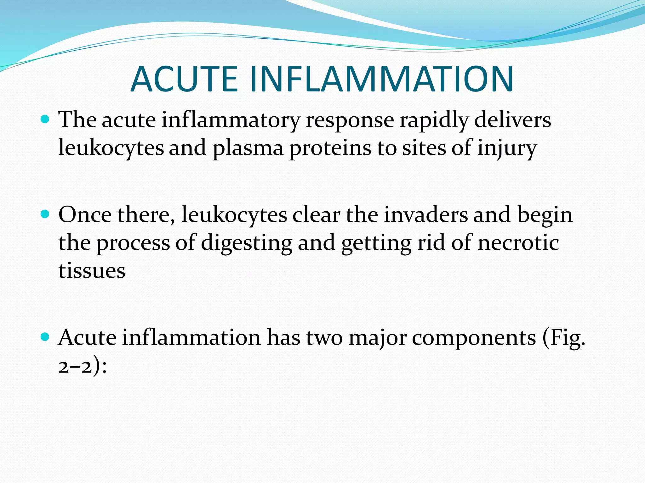 Inflammation | PPTX