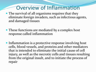 Inflammation | PPTX