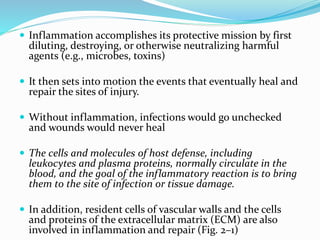 Inflammation | PPTX