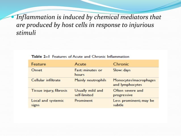 Inflammation | PPTX