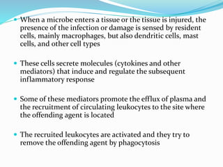 Inflammation | PPTX