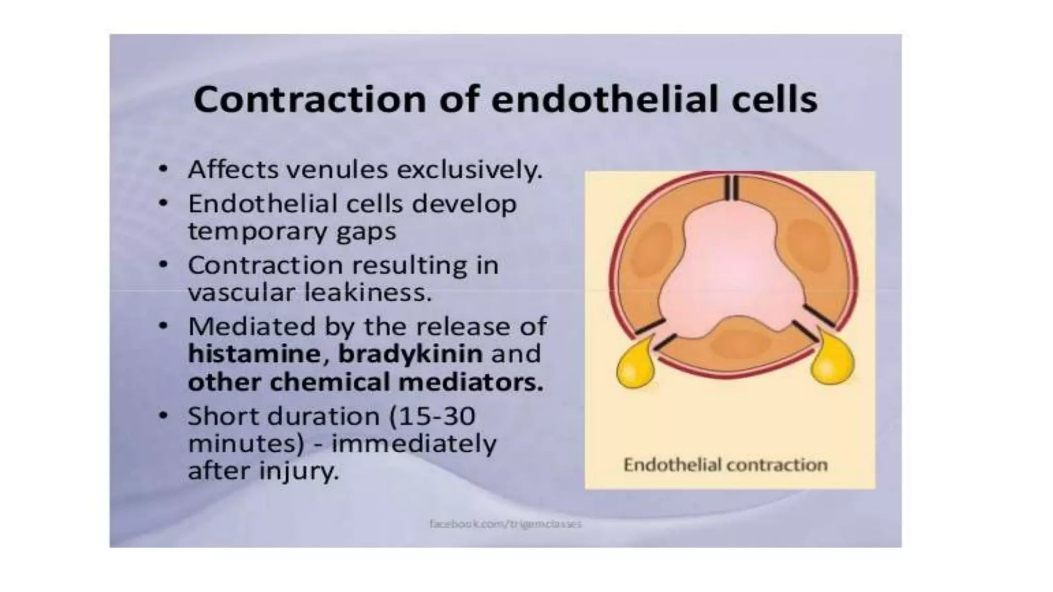 Pathophysiology of Inflammation | PPTX