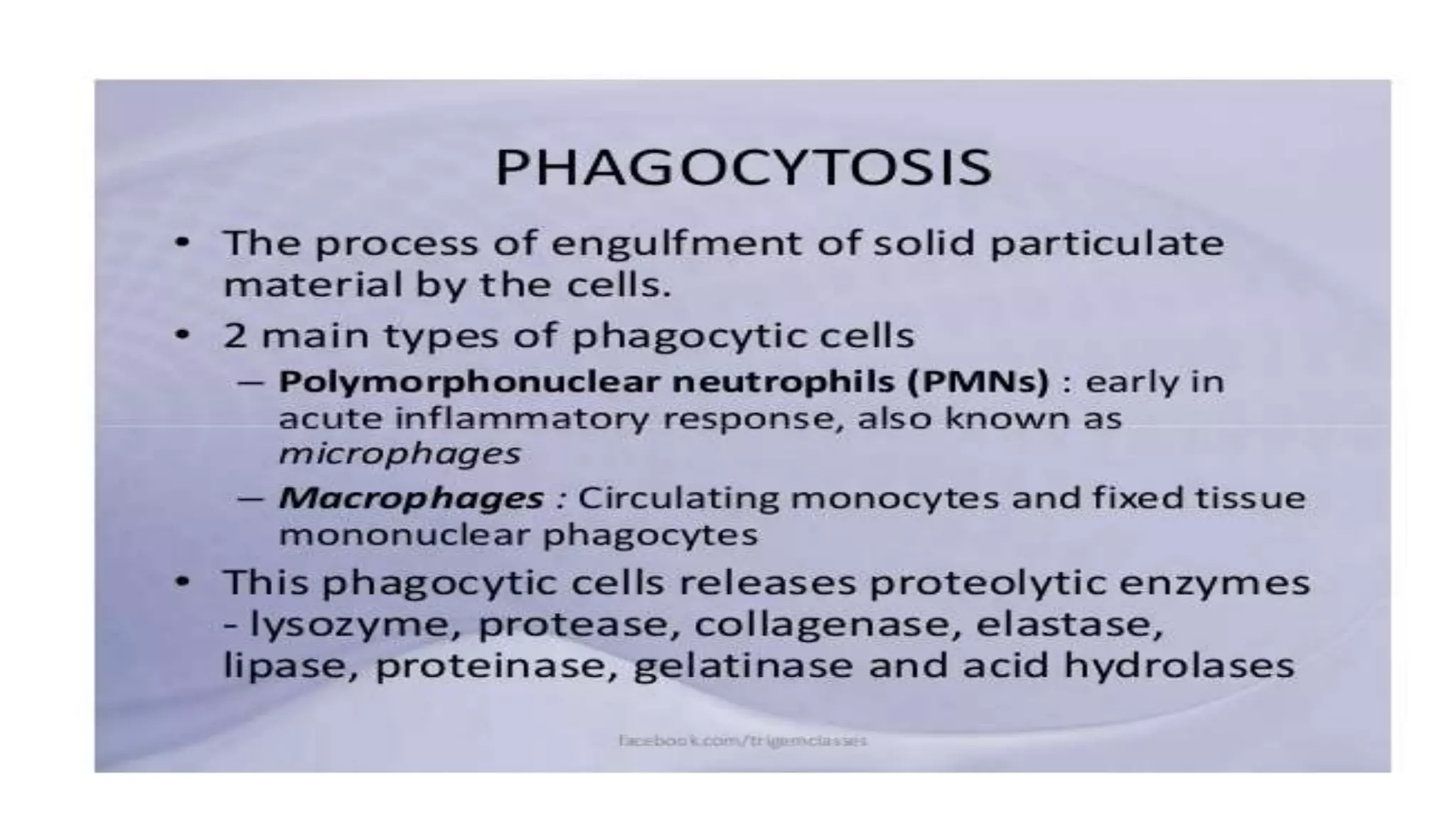 Pathophysiology of Inflammation | PPTX