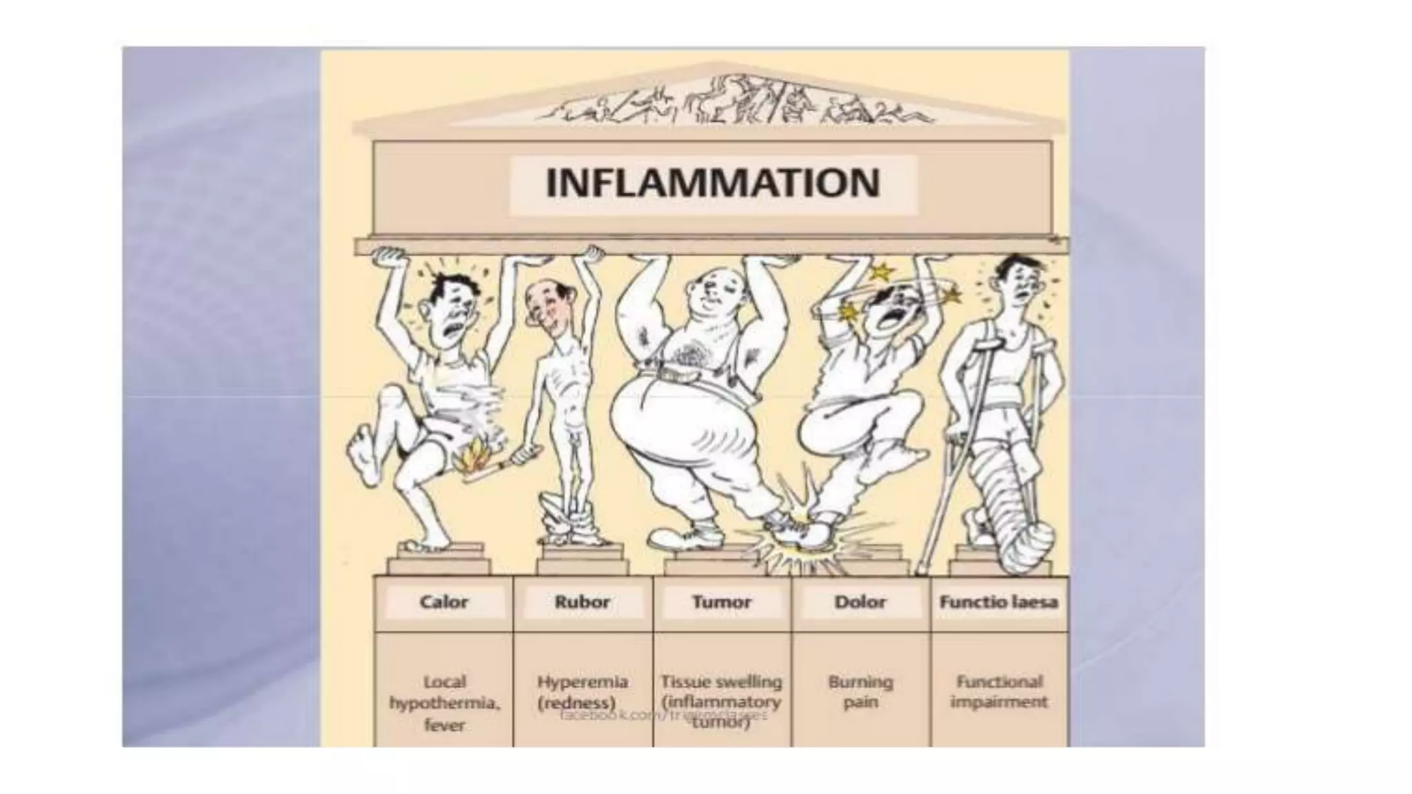 Pathophysiology of Inflammation | PPTX