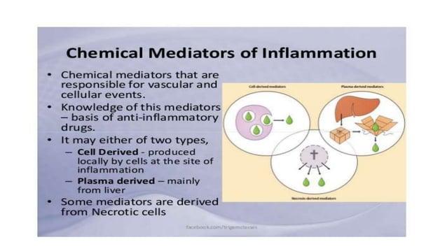 Pathophysiology of Inflammation | PPTX | Diseases and Conditions ...