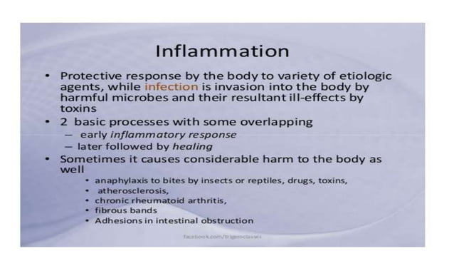Pathophysiology of Inflammation | PPTX | Diseases and Conditions ...