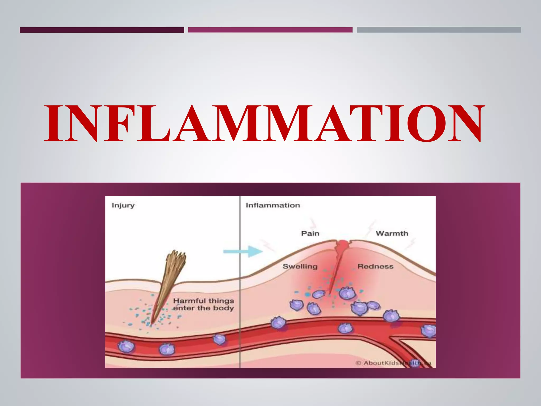 Inflammation.... | PPTX | Blood Disorders | Diseases and Conditions