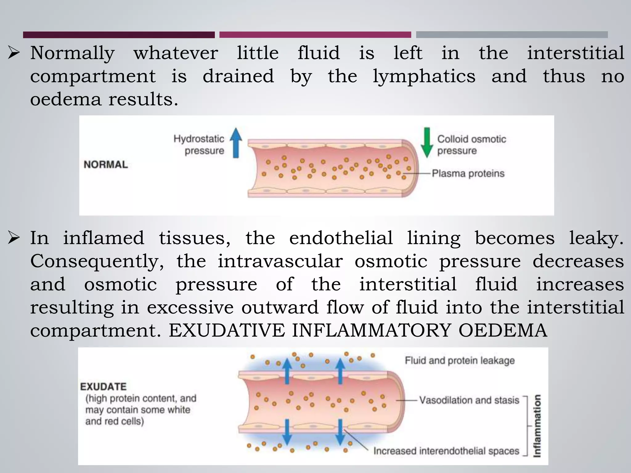 Inflammation.... | PPTX