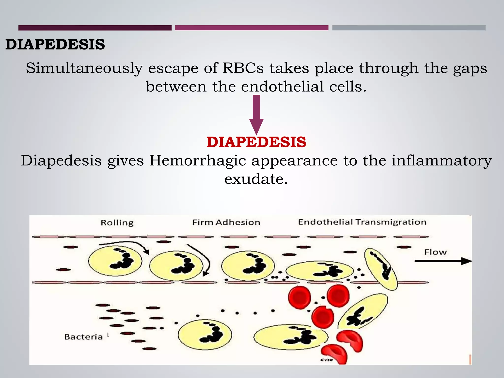 Inflammation.... | PPTX