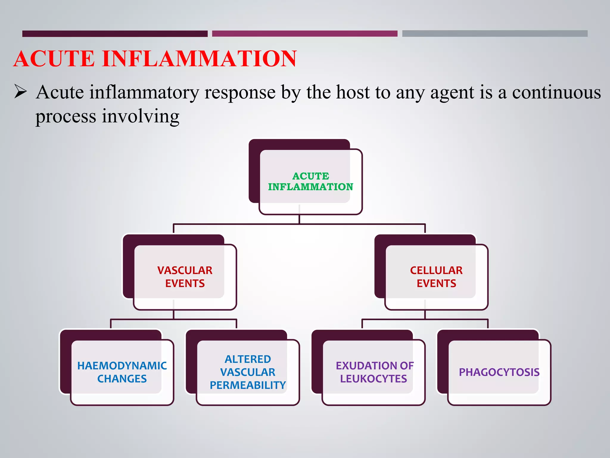 Inflammation.... | PPTX