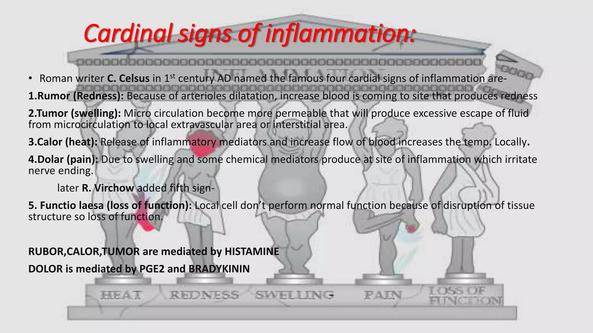 Inflammation | PPTX