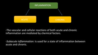 Inflammation | PPTX
