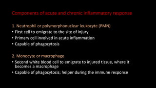 Inflammation | PPTX