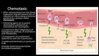 Inflammation | PPTX