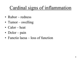 Inflammation | PPT