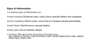 INFLAMMATION.pptx