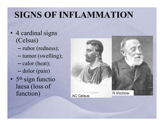 inflammation.pptx