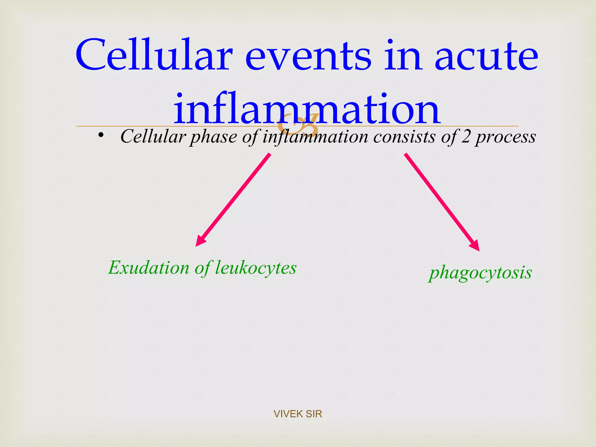 inflammation pathology nursing-.pptx