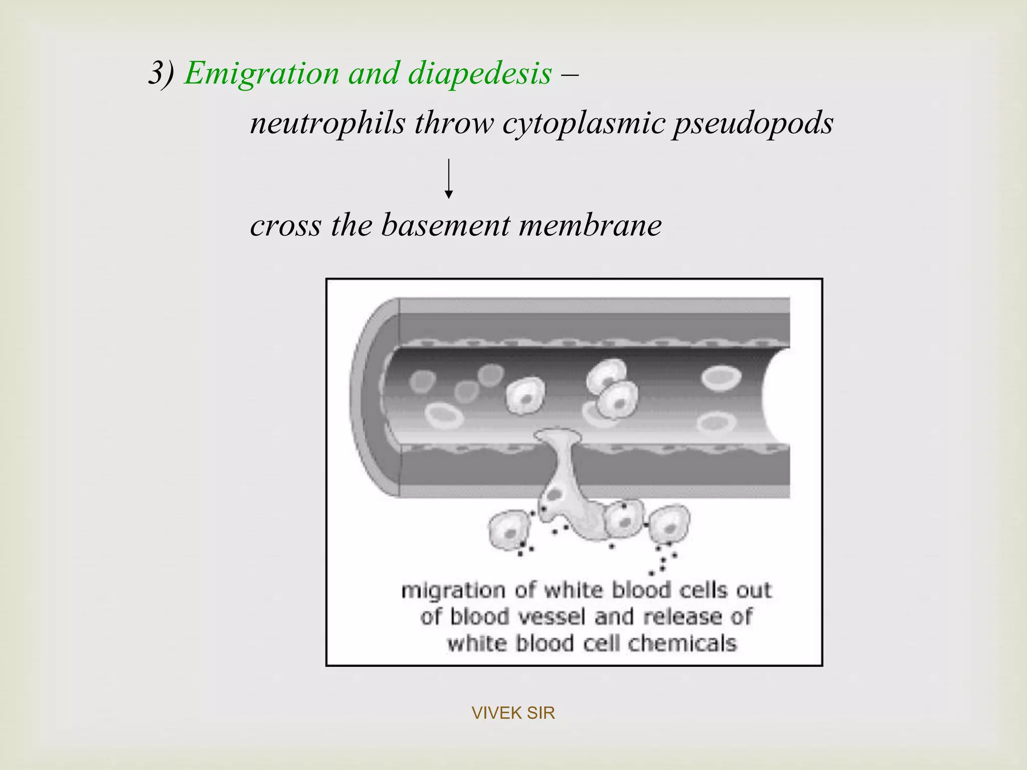 inflammation pathology nursing-.pptx