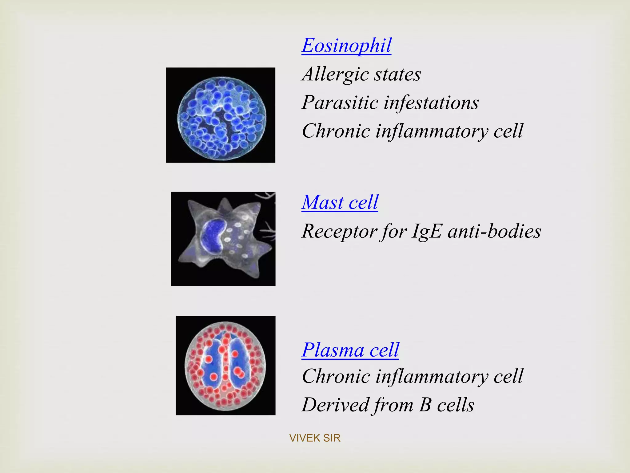 inflammation pathology nursing-.pptx