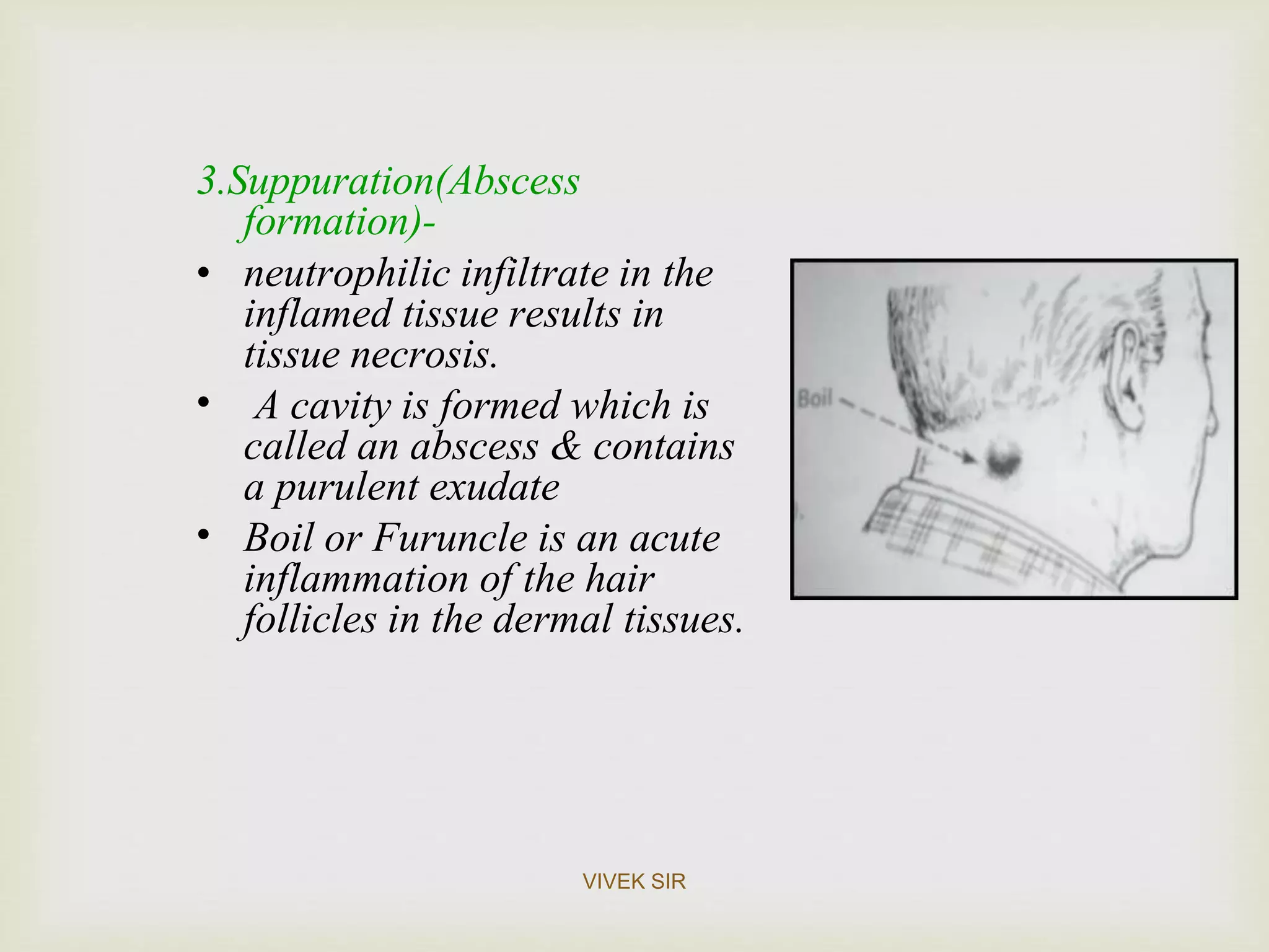 inflammation pathology nursing-.pptx