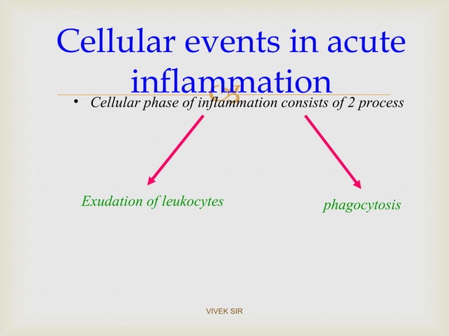 inflammation pathology nursing-.pptx