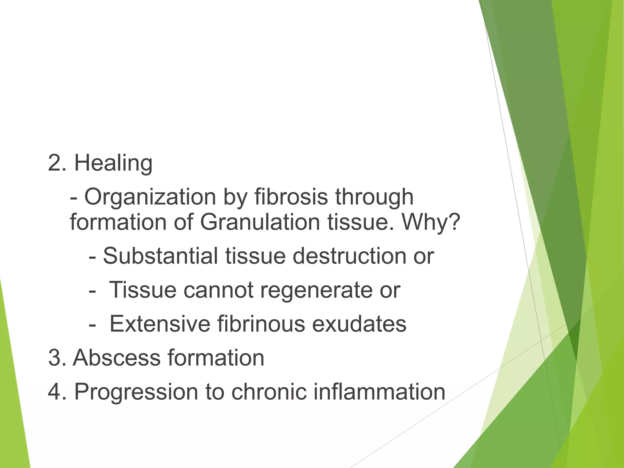 Inflammation Pptx