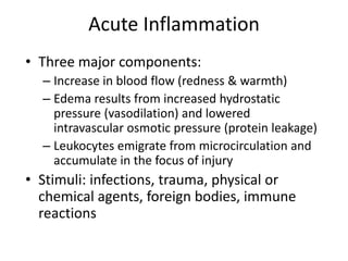 INFLAMMATION.pptx