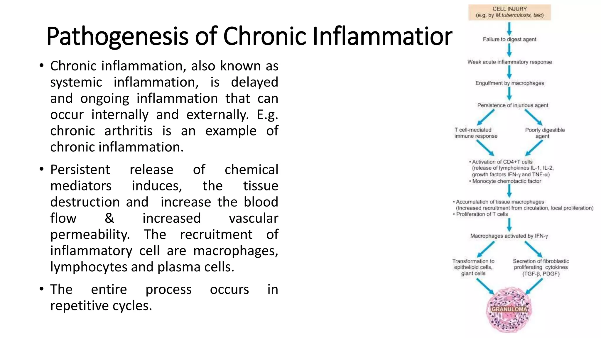 INFLAMMATION.pptx